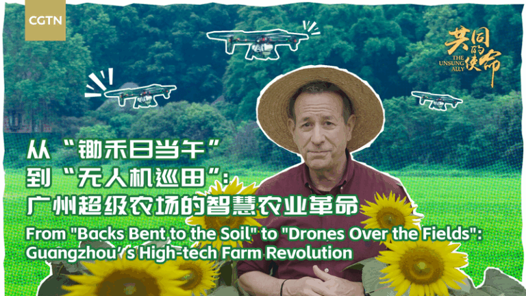 Farming with Robots: Guangzhou’s High-Tech Revolution! 🌾🤖 - My Global ...