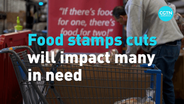 US Families Brace for Cuts to Food Stamps - My Global News: Young Voices