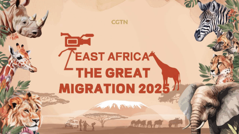Join the Wild Adventure: Following Africa’s Great Migration! 🦒🌍 - My ...